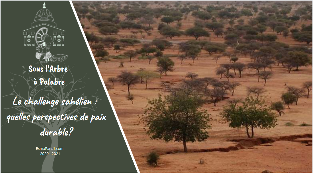 Le challenge sahélien : quelles perspectives de paix durable? – ESMA ...